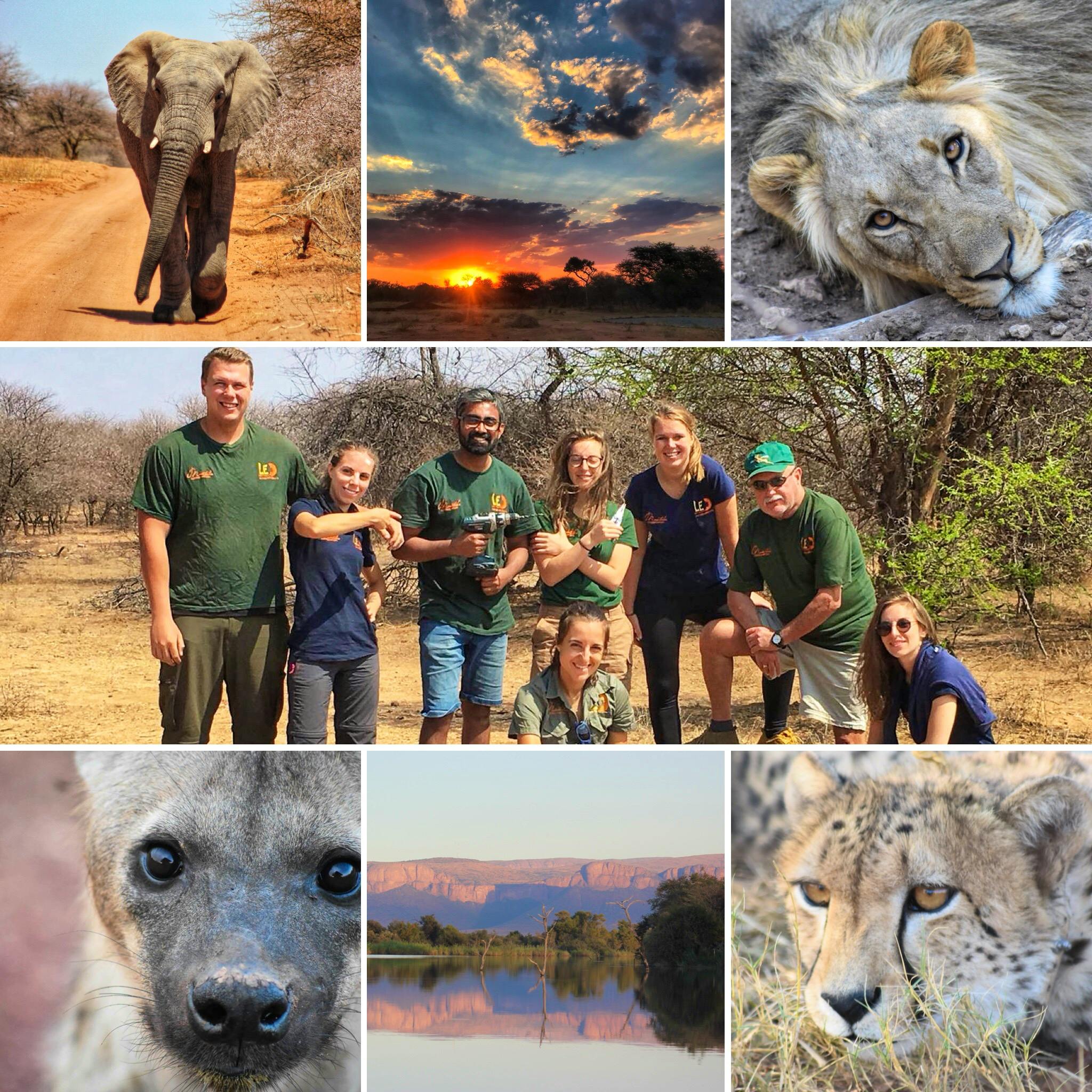 LEO Africa | Volunteer Abroad 2025 | Volunteer World