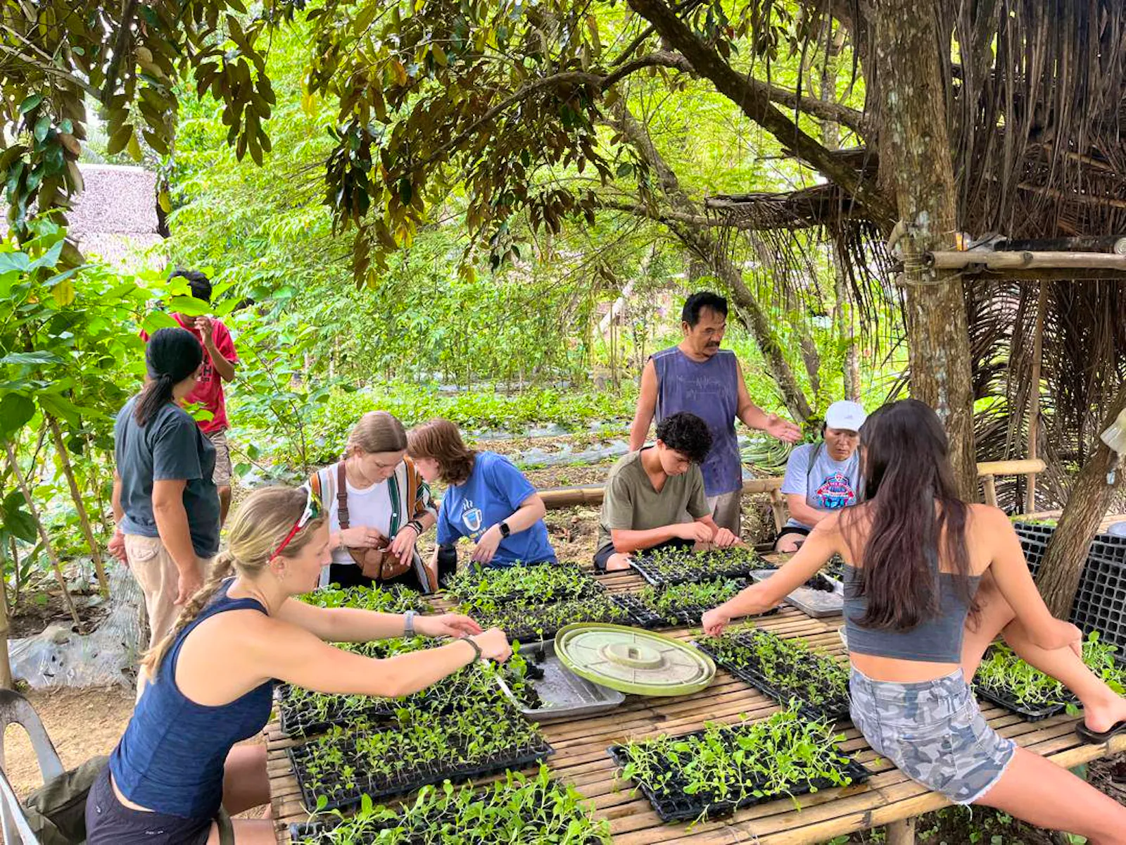 Mangrove Environment Conservation | Volunteer in the Philippines 2025