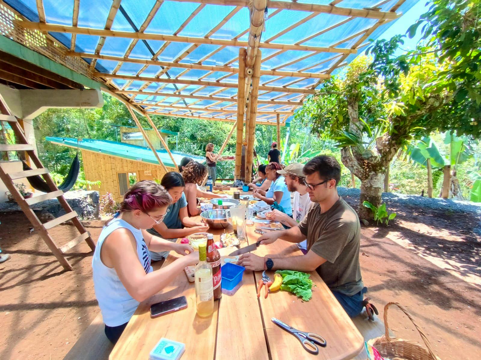 Permaculture Apprenticeship | Volunteer in Costa Rica 2025