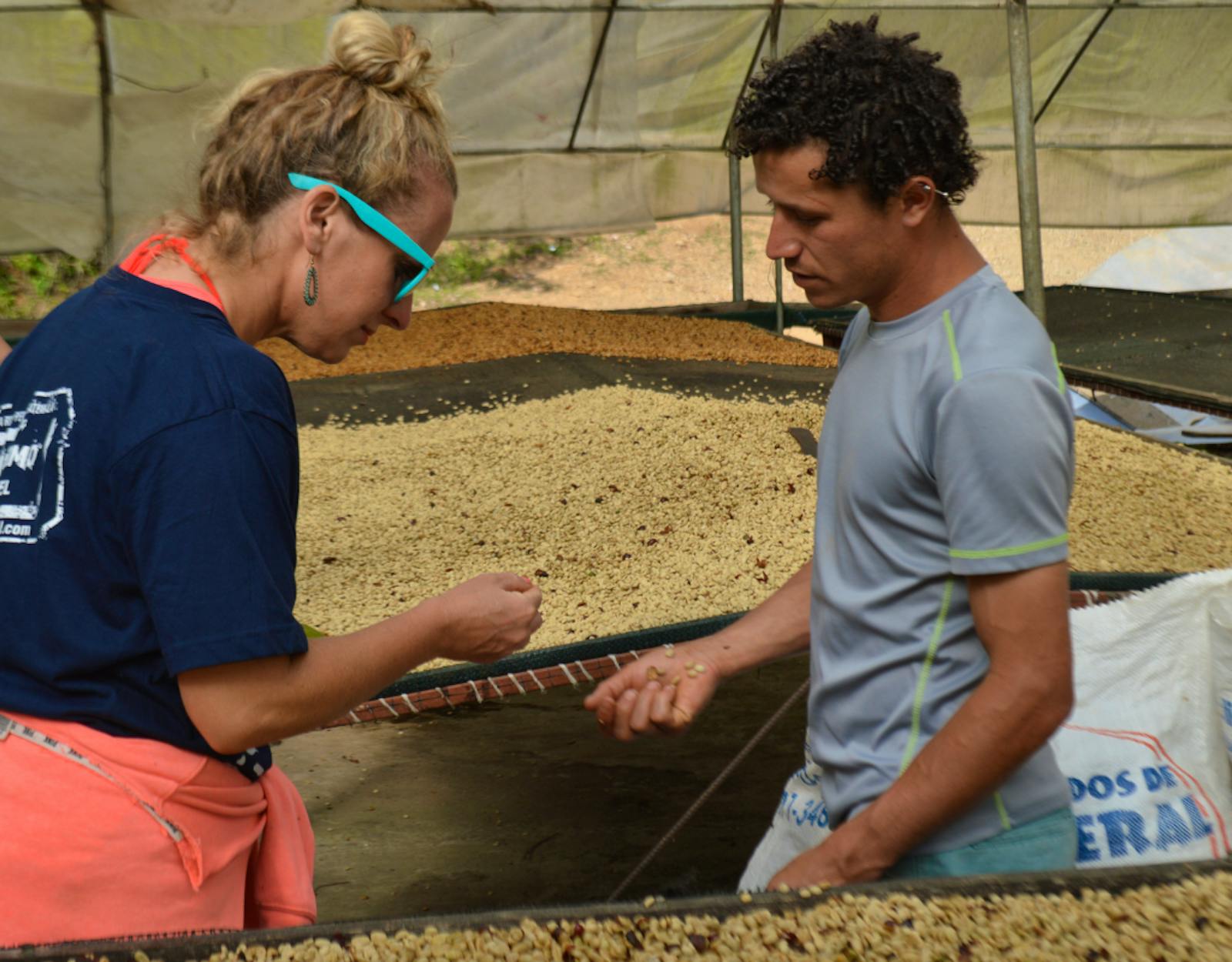 Sustainable Farming and Agriculture Work | Volunteer in Costa Rica 2025