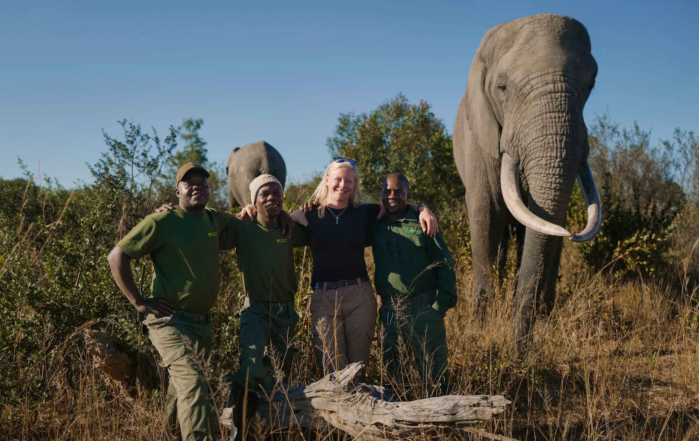 Rhino & Elephant Conservation | Volunteer in Zimbabwe 2026