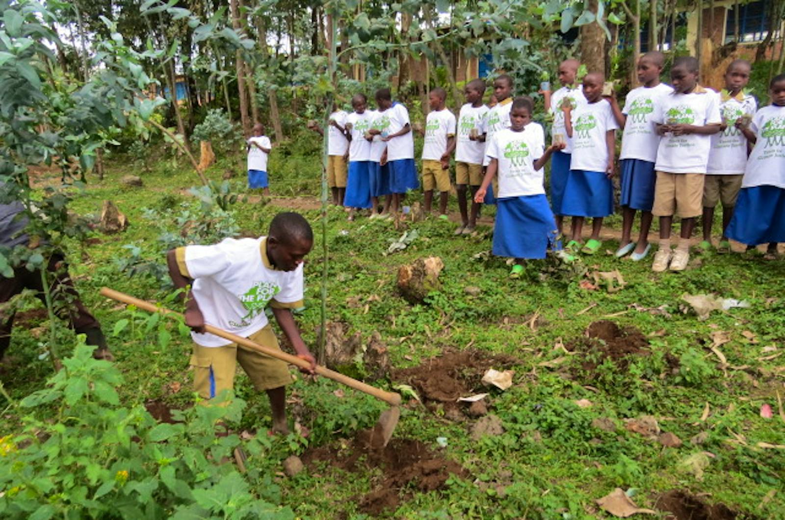 Environmental Justice Assistant | Volunteer in Rwanda 2025