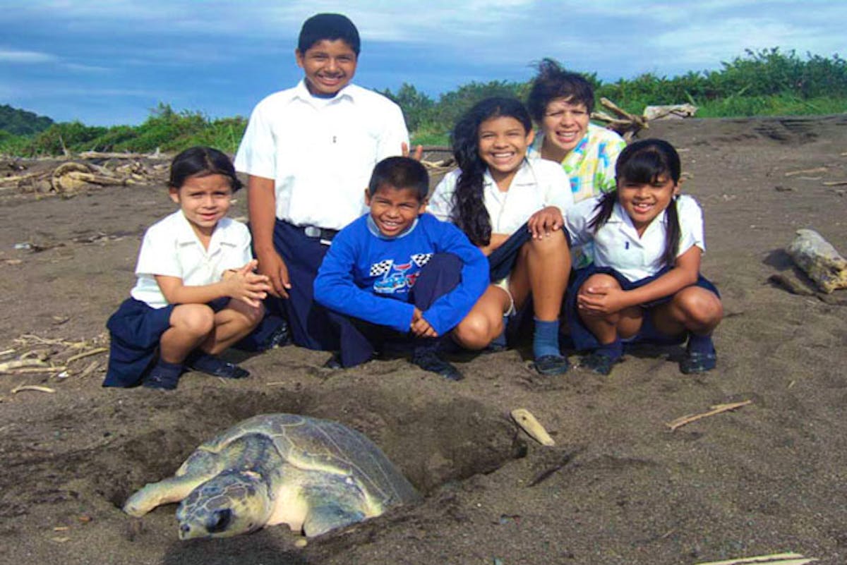 Help Save Sea Turtles | Volunteer in Costa Rica 2025