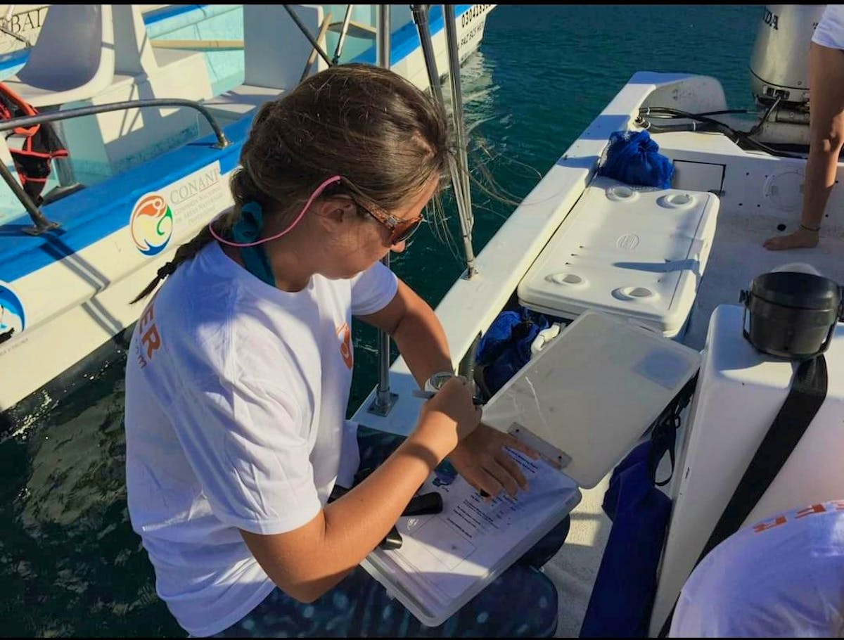 Shark Internship | Volunteer in Mexico 2025