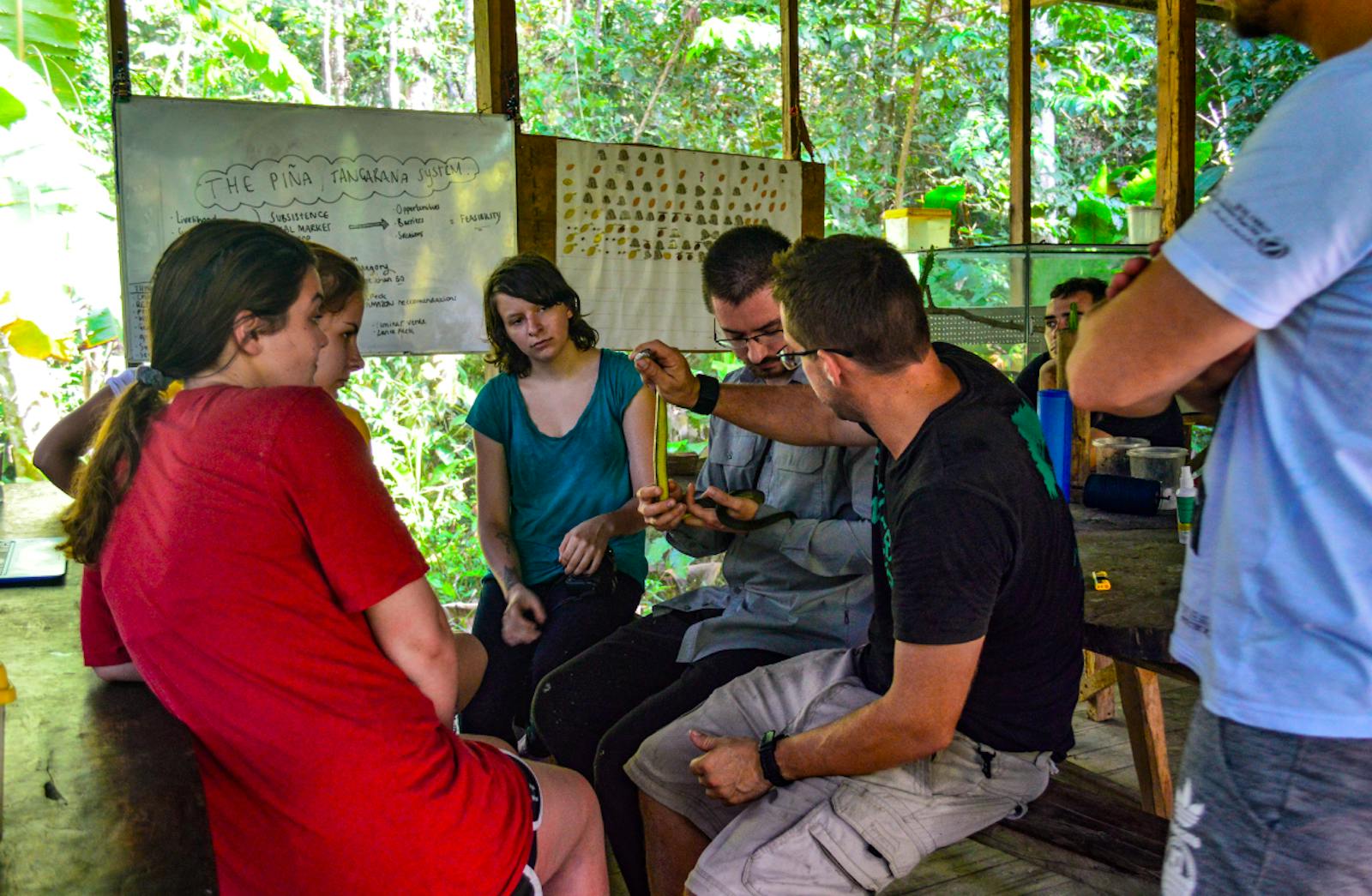 Peruvian Amazon Conservation & Reforestation | Volunteer in Peru 2025