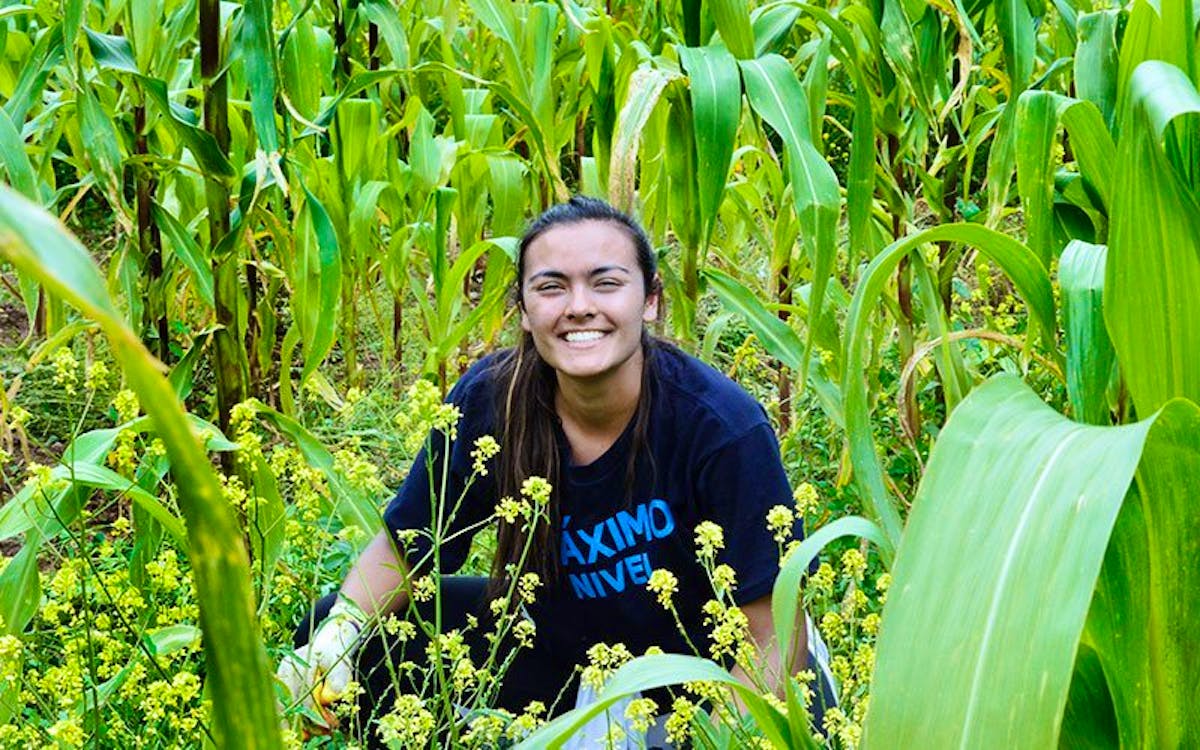 Support a Local Organic Farm | Volunteer in Peru 2025