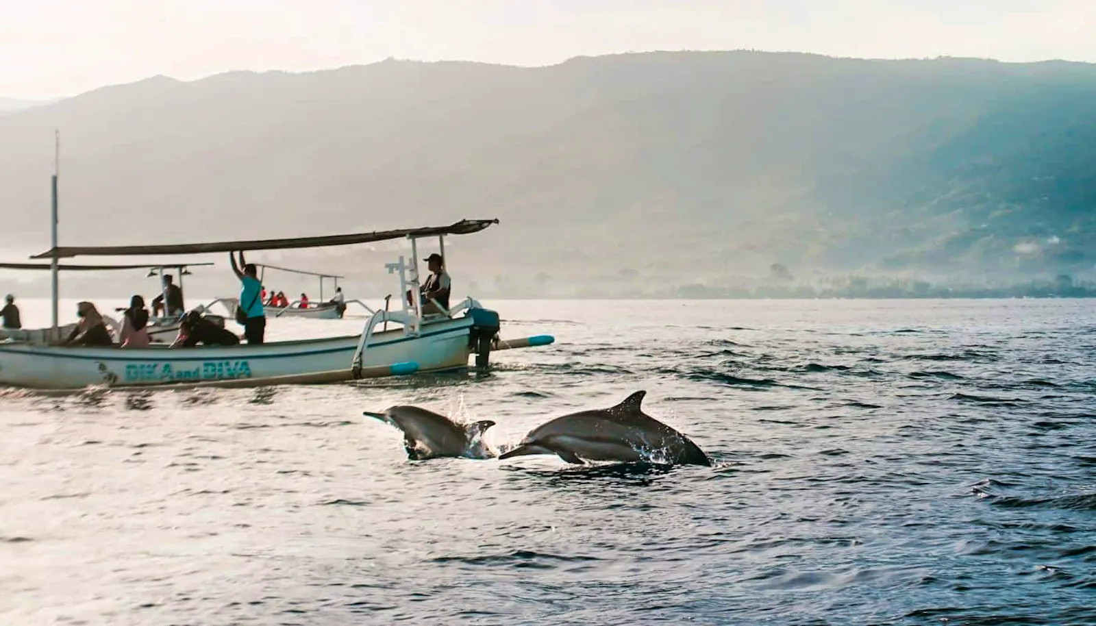 Coral Reef and Dolphin Conservationist | Volunteer in Indonesia 2025