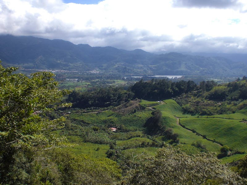 Agroecological Farming | Volunteer in Costa Rica 2025