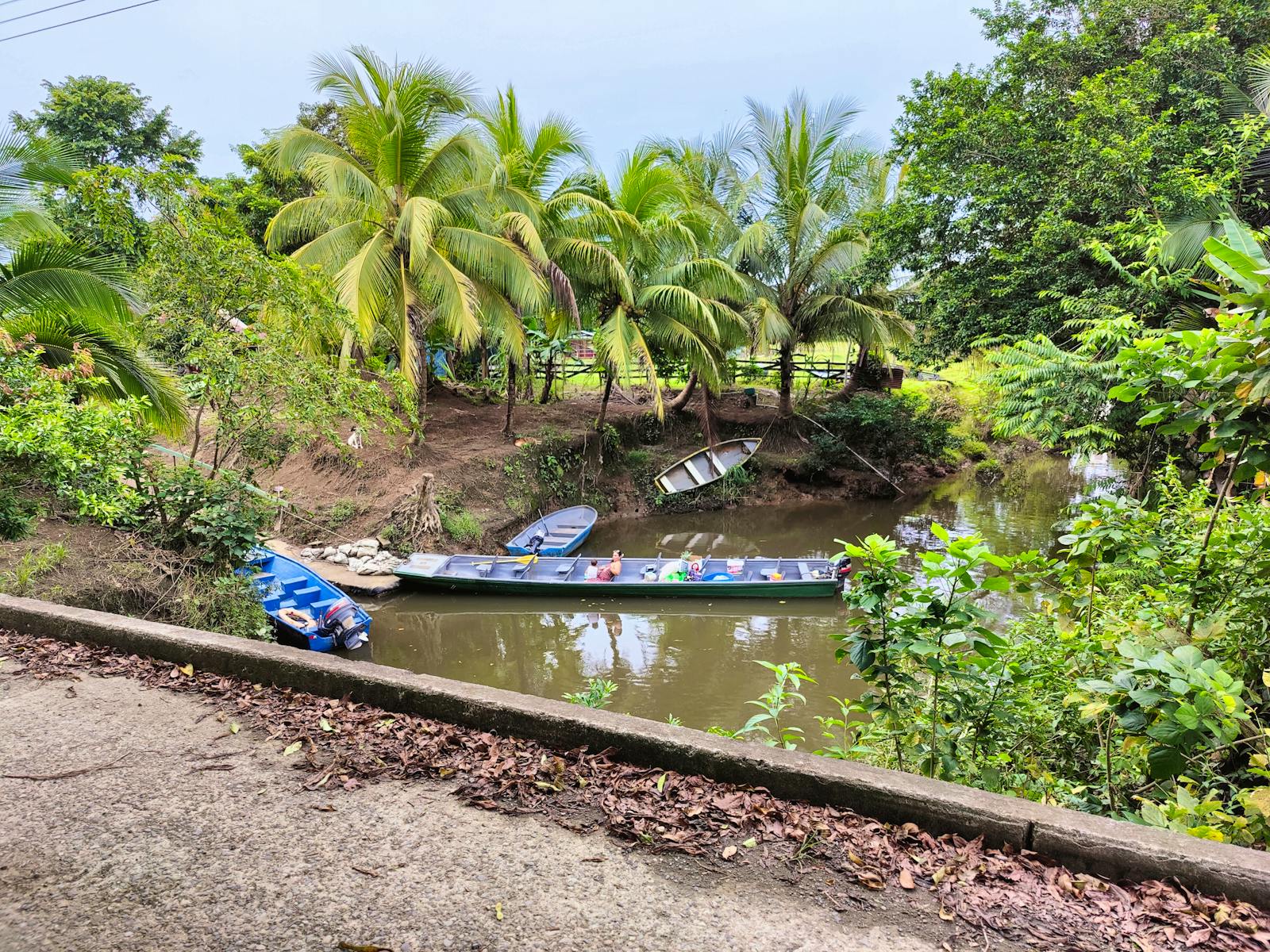 Turtle Conservation Camp Supporter | Volunteer in Costa Rica 2025