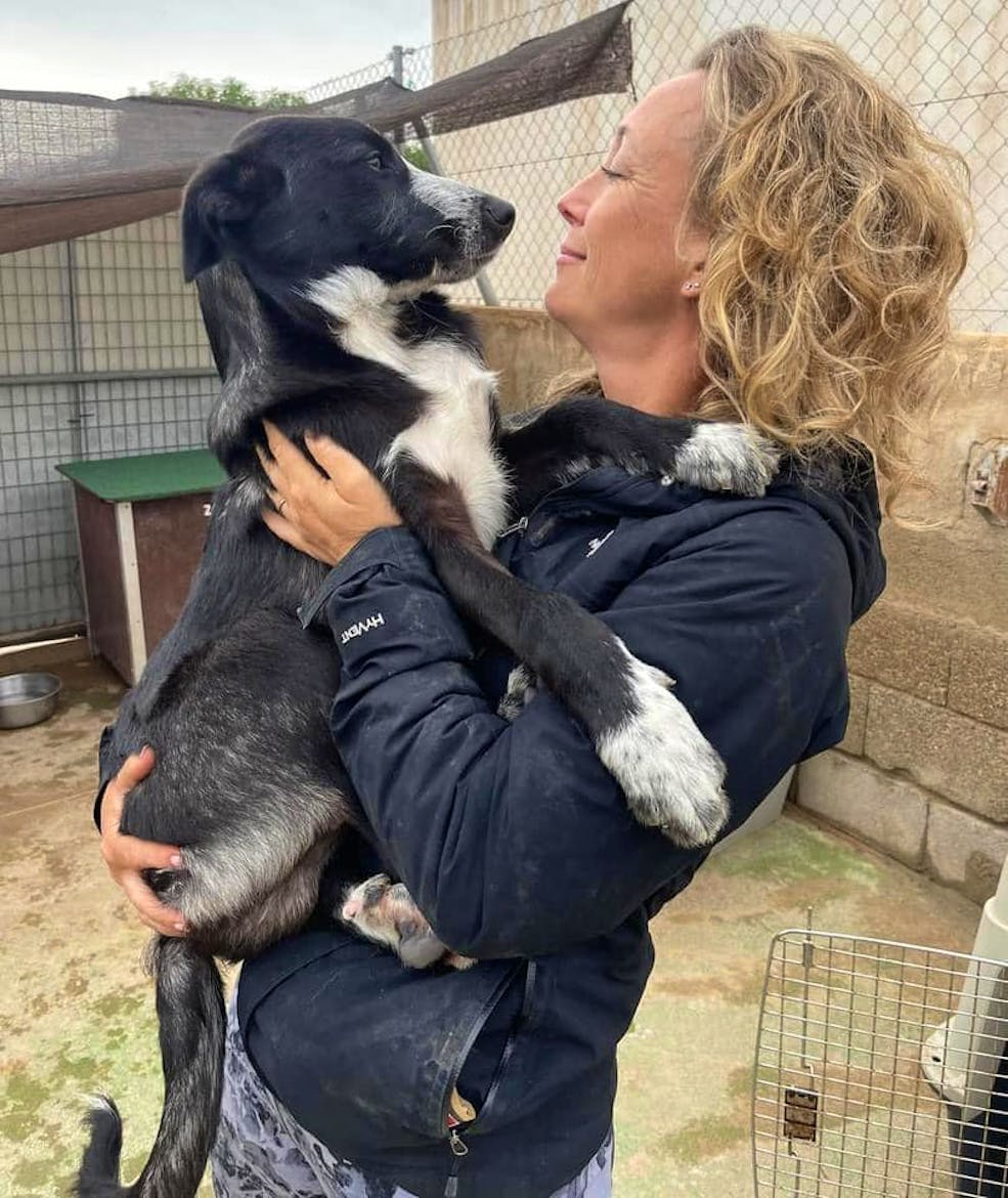 Dog and Cat Shelter Supporter | Volunteer in Spain 2025