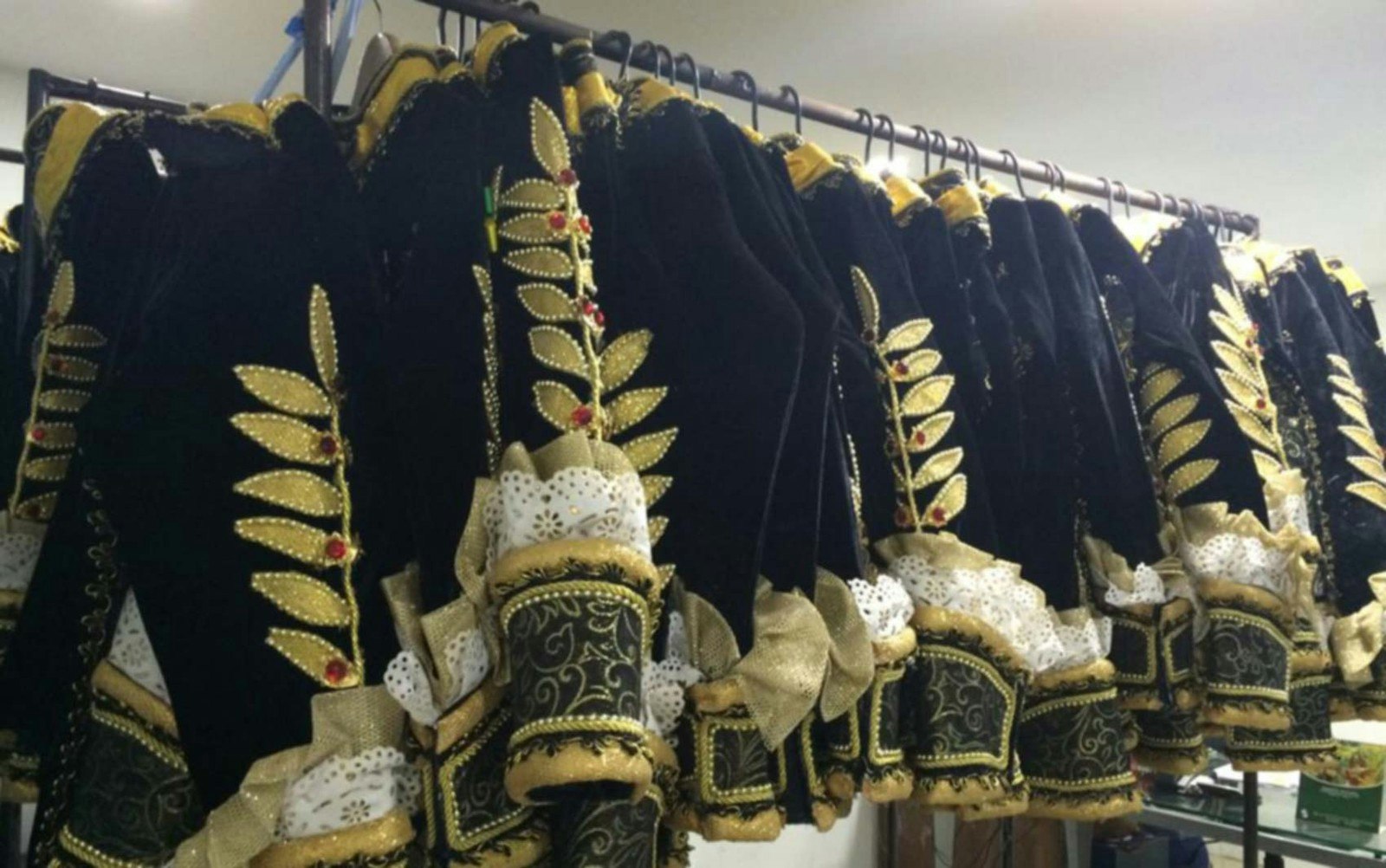 Carnival Assistant | Voluntariado en Brasil 2025