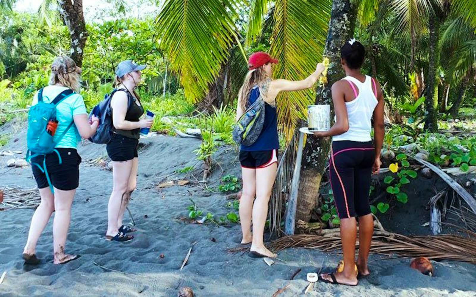 Beach Conservation Experience | Volunteer in Costa Rica 2025