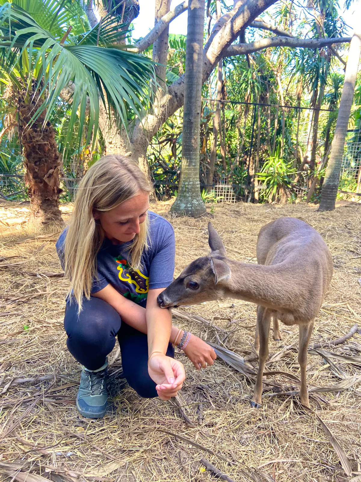 Animal Keeper Assistant | Volunteer in Costa Rica 2026