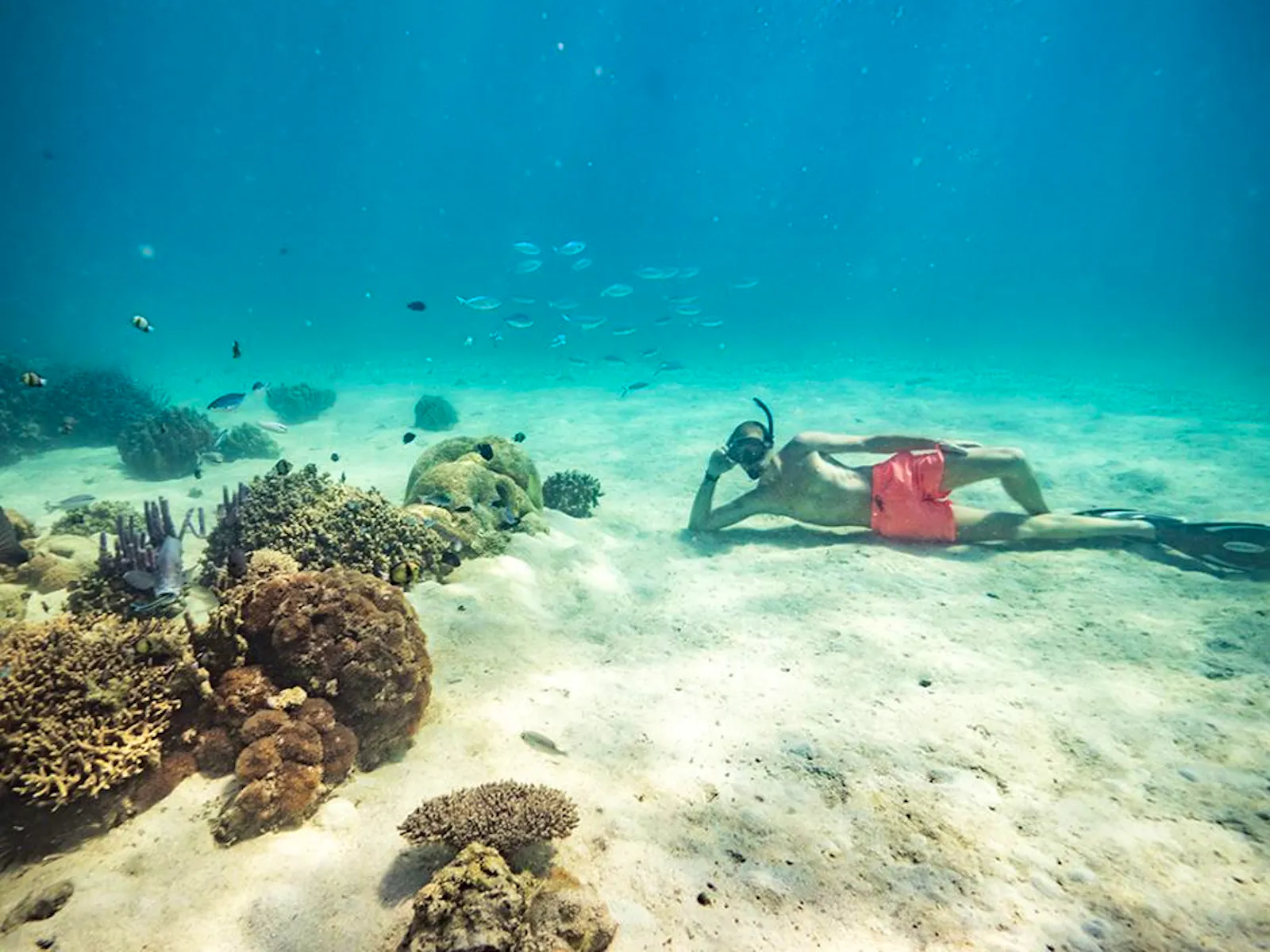 Sea Turtle Conservation Monitor | Volunteer in Madagascar 2025