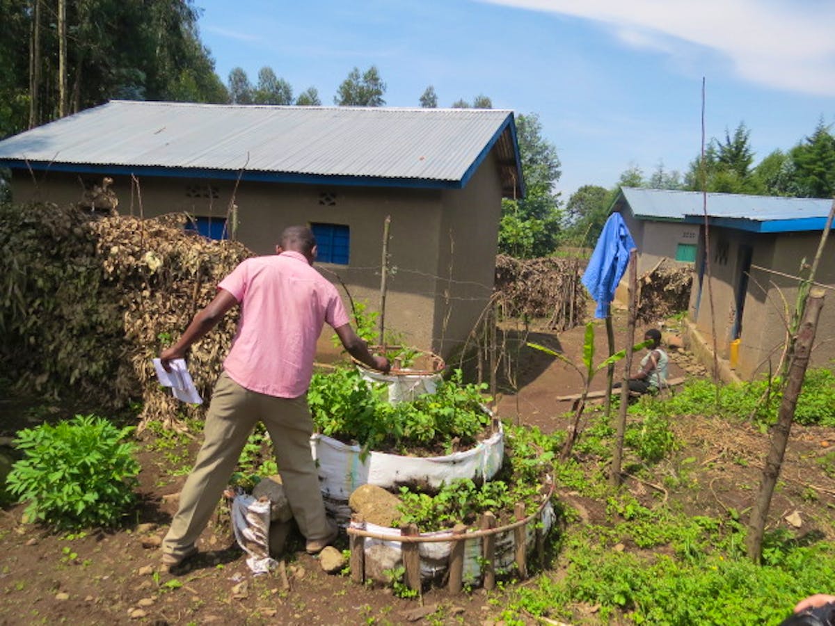 Farming and Agricultural Support | Volunteer in Rwanda 2025
