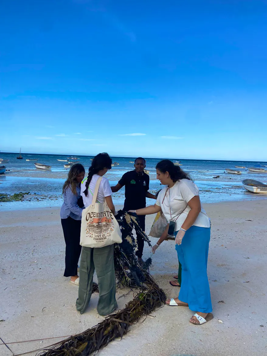 Environmental Conservation Assistant | Volunteer in Tanzania 2025