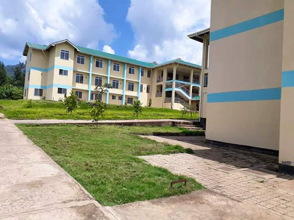 Hospital Clinic Support | Volunteer in Tanzania 2025