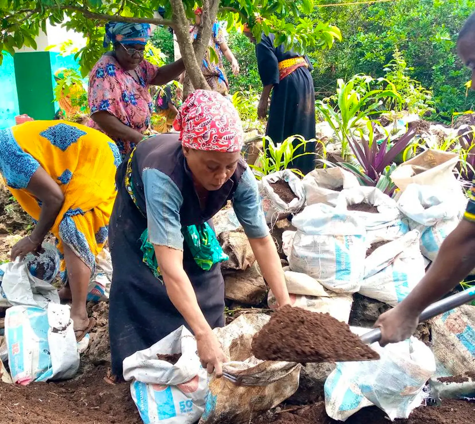 Environmental Conservation Assistant | Volunteer in Tanzania 2025