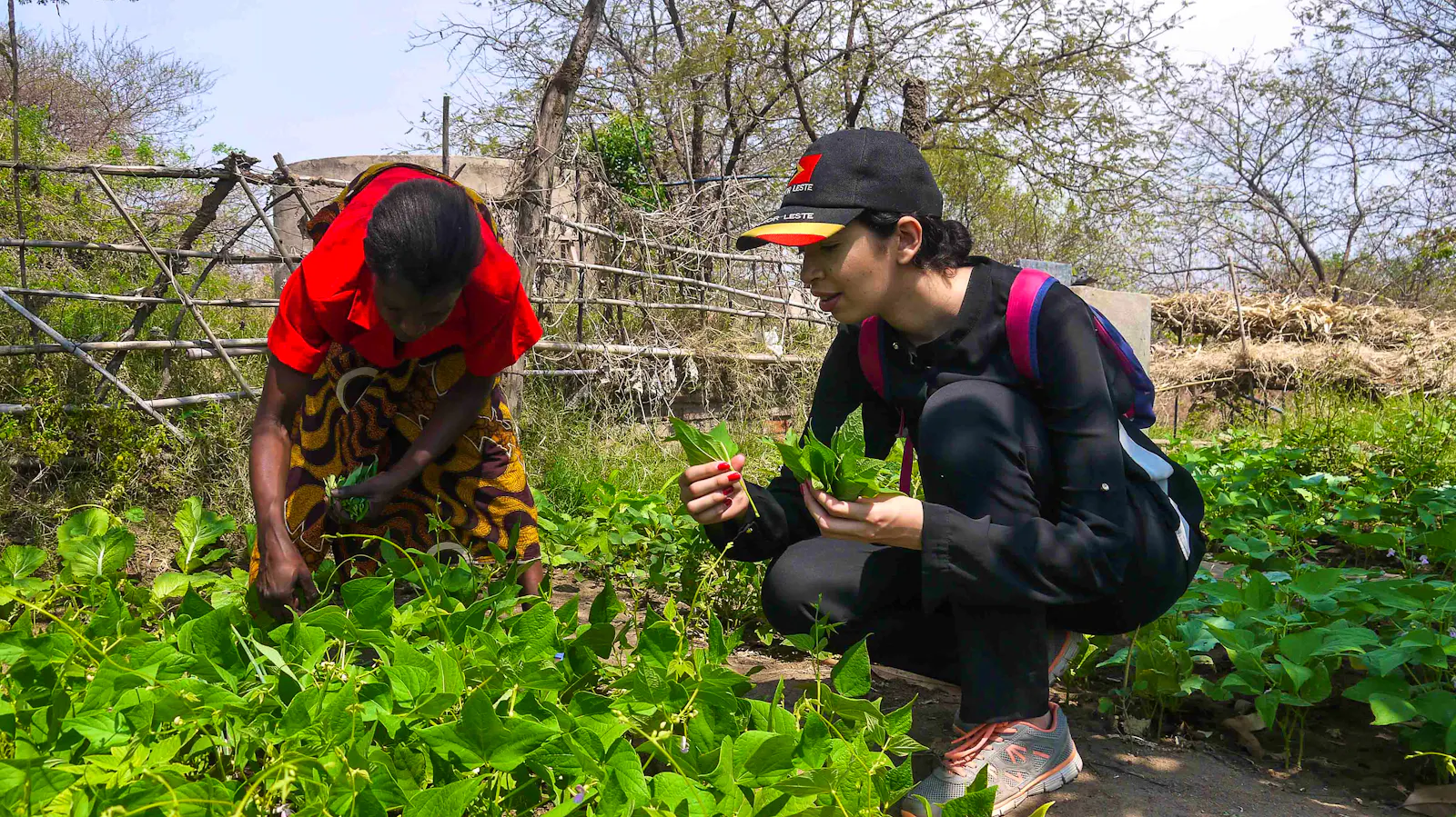 Sustainable Environmental Conservation | Volunteer in Malawi 2025
