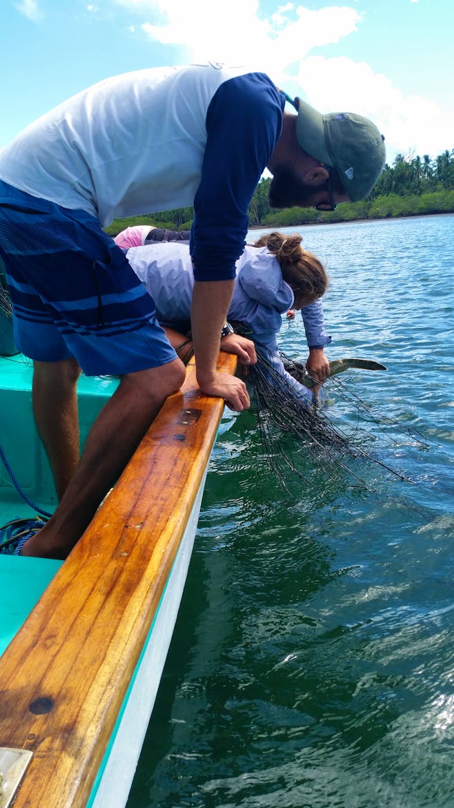 Sea Turtle Guardian | Volunteer in Costa Rica 2024