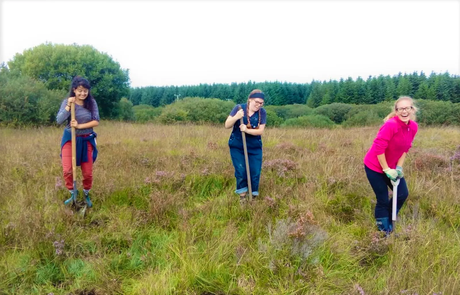 Eco-Centre: help and work towards sustainability | Volunteer in Ireland ...