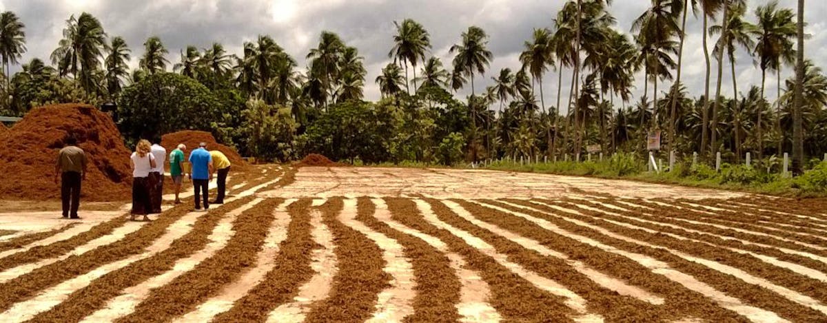 Community development in families | Volunteer in Chile 2025