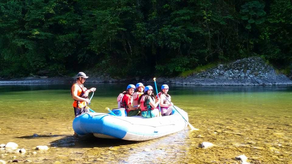 Latin American Sea Turtles | Volunteer Abroad 2025 | Volunteer World