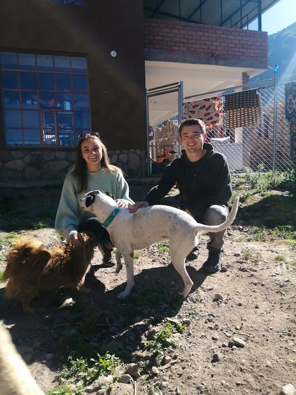 Street Dog Rescuer | Volunteer in Peru 2025