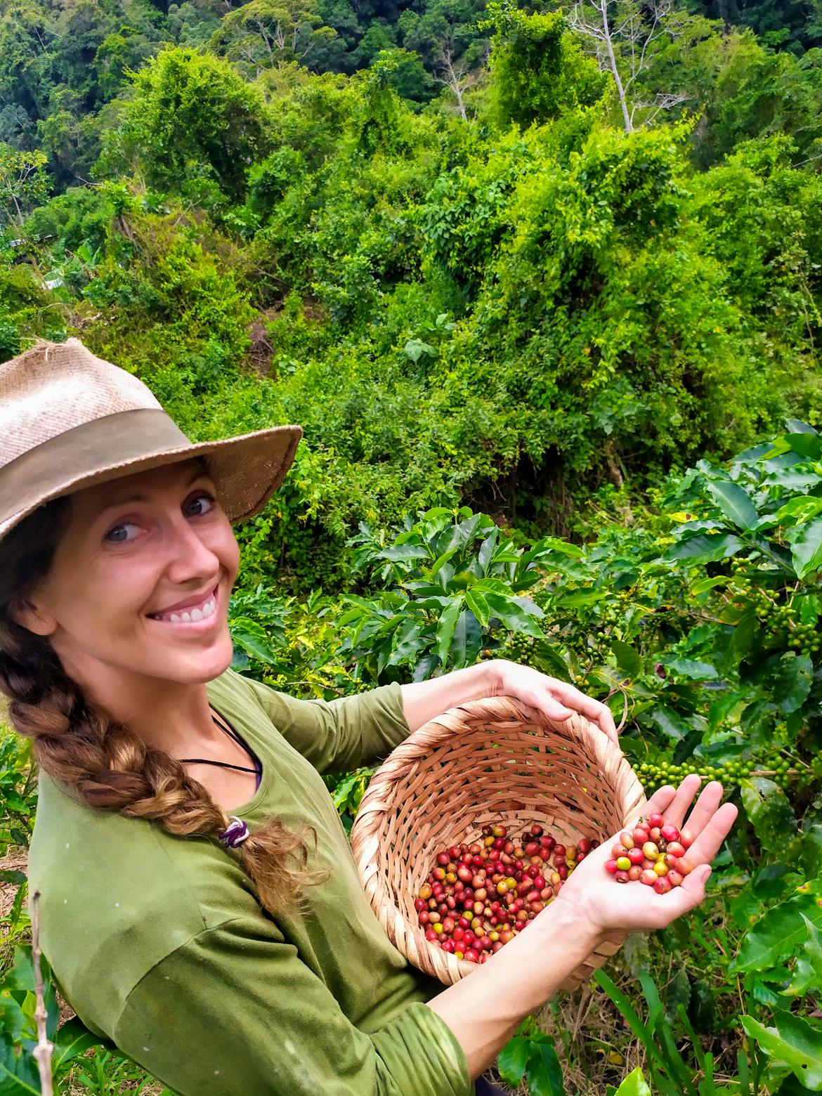 Off-Grid Permaculture & Community | Volunteer in Costa Rica 2025