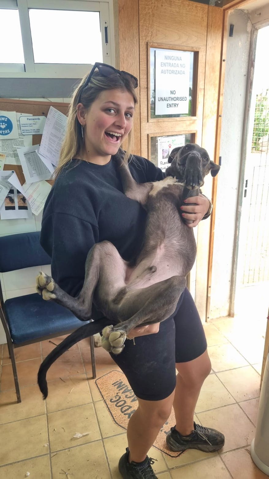 Dog and Cat Shelter Supporter | Volunteer in Spain 2025