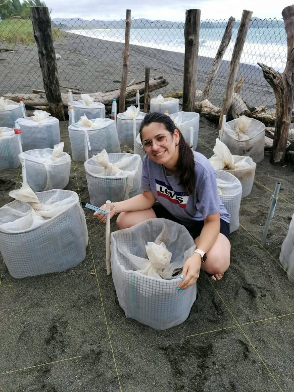 Local Sea Turtle Conservation | Volunteer in Panama 2025