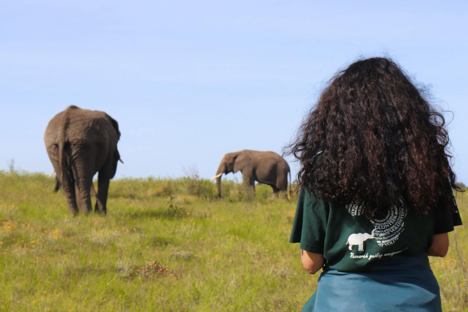 Elephant Monitoring Immersion Experience | Volunteer in South Africa 2025