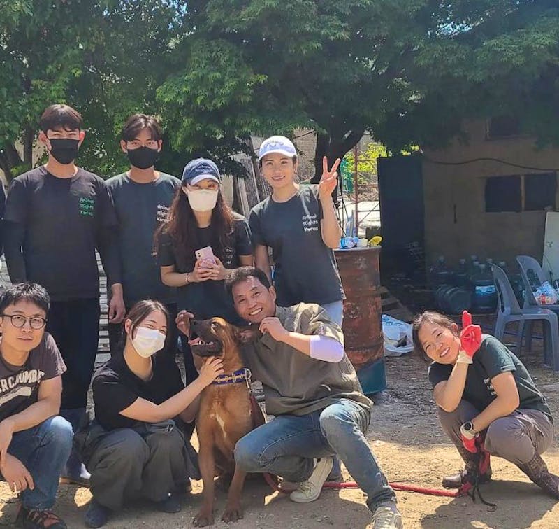 Animal Shelter Support | Volunteer in South Korea 2025
