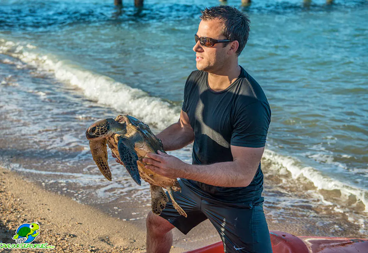 Sea Turtle Rehabilitator | Volunteer in Australia 2025