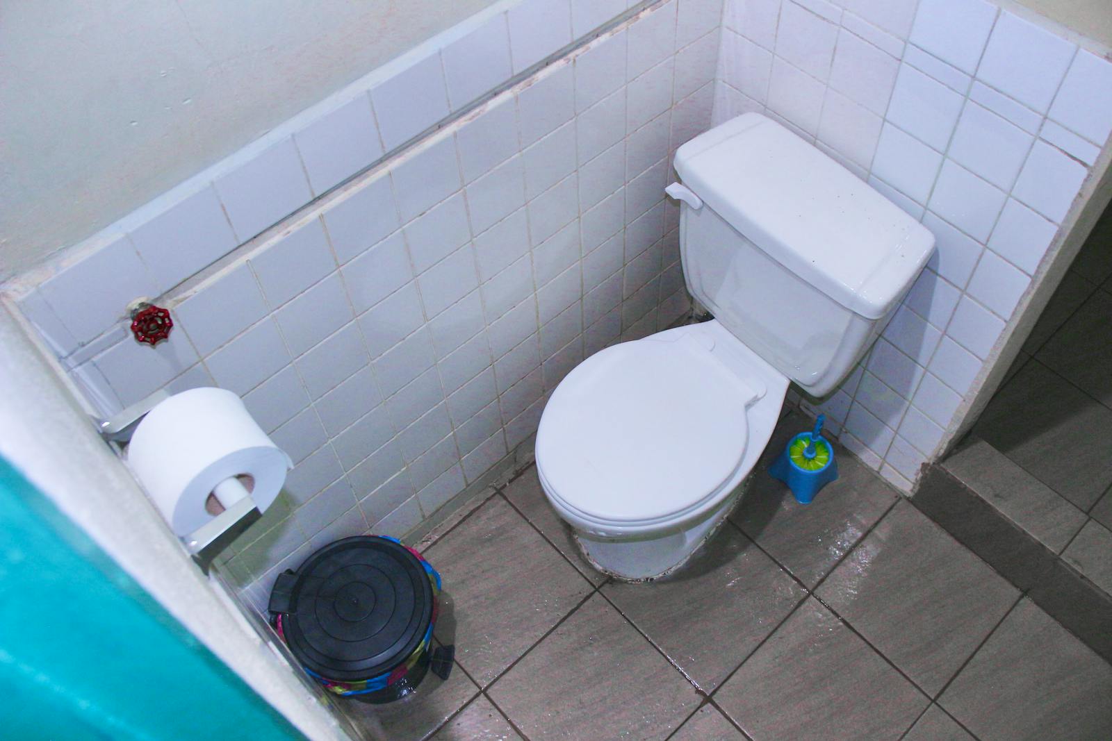 NGO Fundraising Specialist | Volunteer in Ecuador 2024