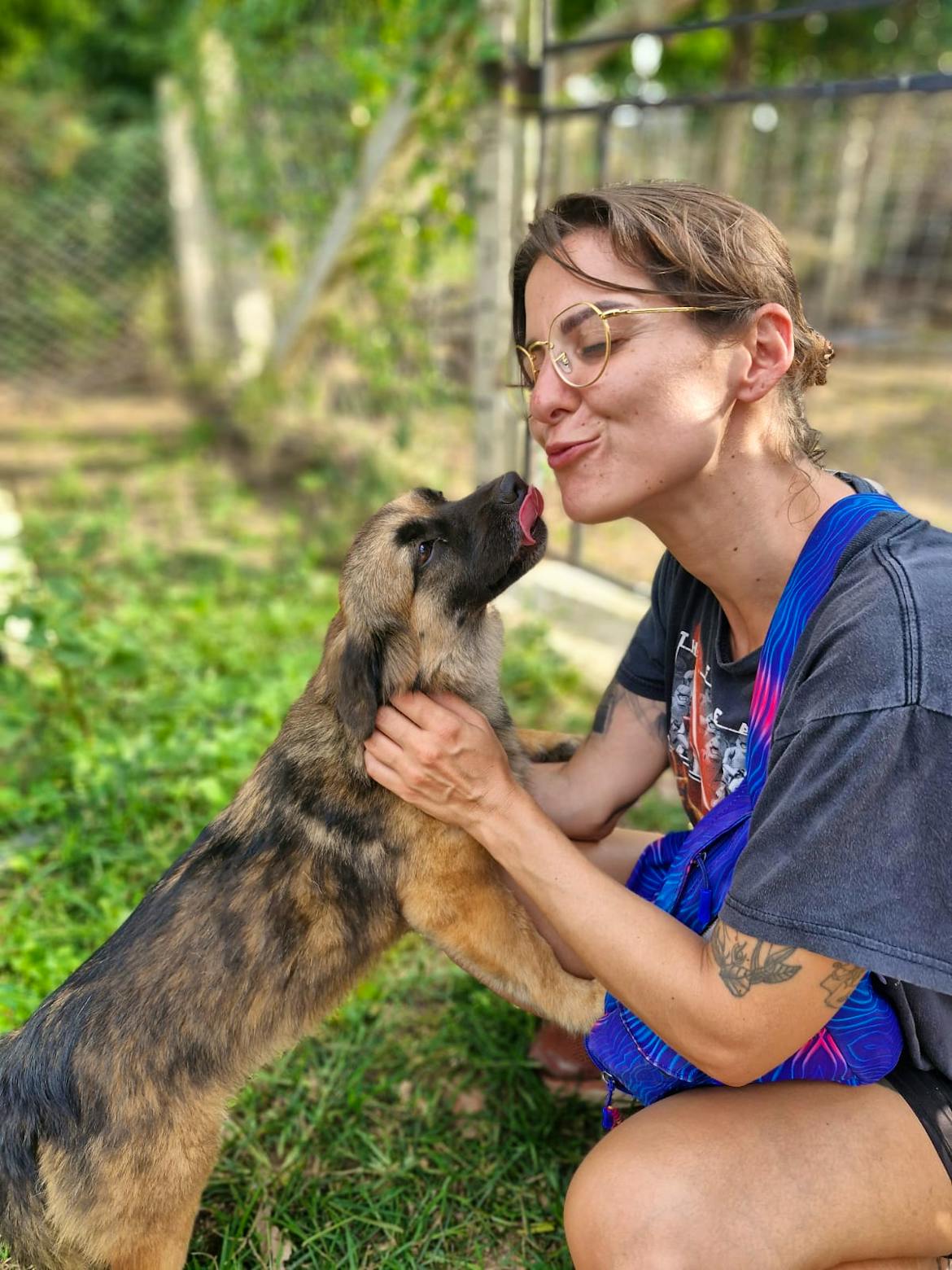 Dogs Cuddling Expert | Volunteer in Colombia 2025