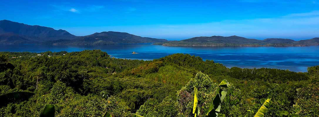 Environmental Conservationist | Volunteer in the Philippines 2025